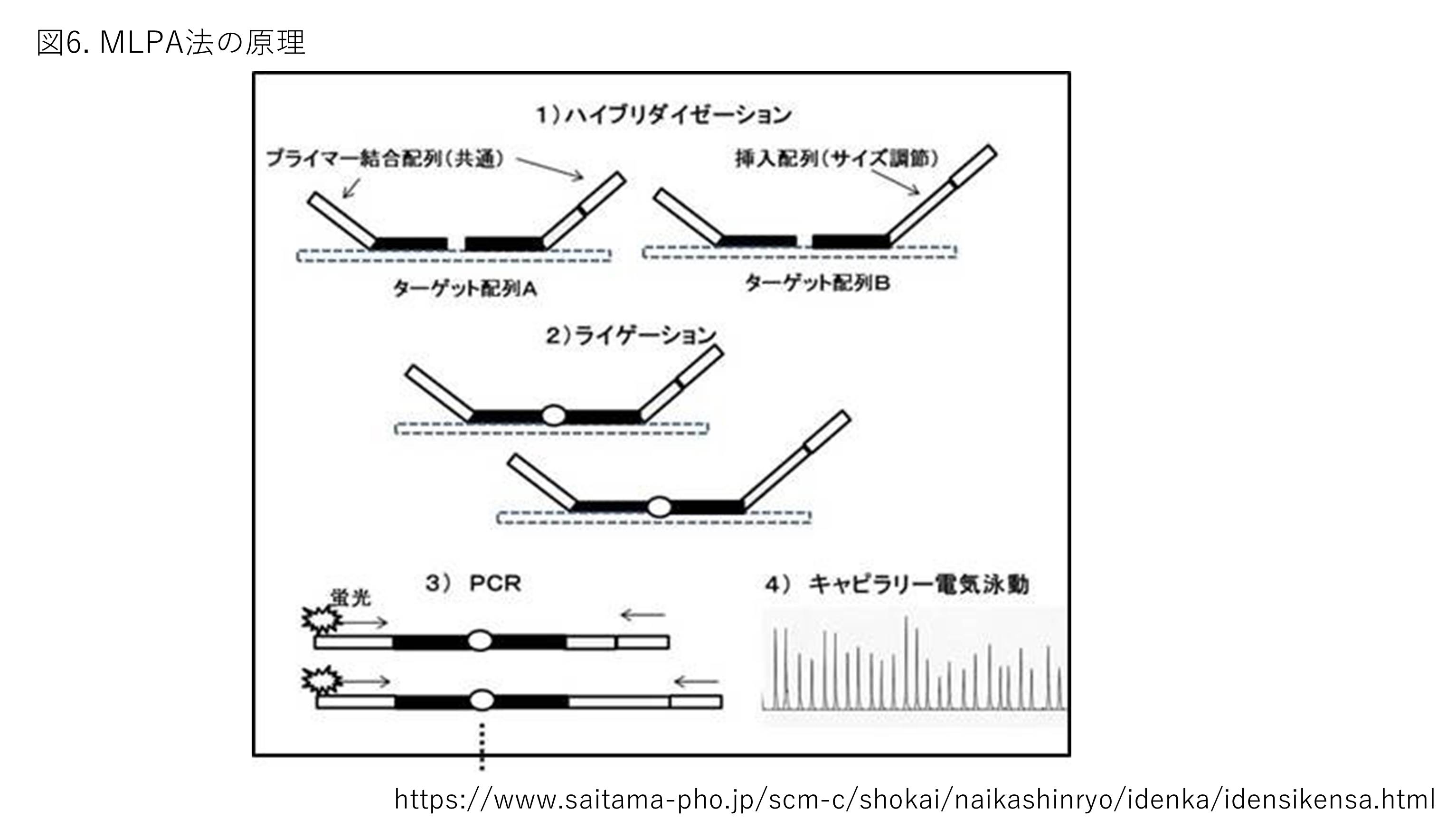 着床前診断(PGT-A、PGT-SR、PGT-M)について - セントマザー産婦人科医院